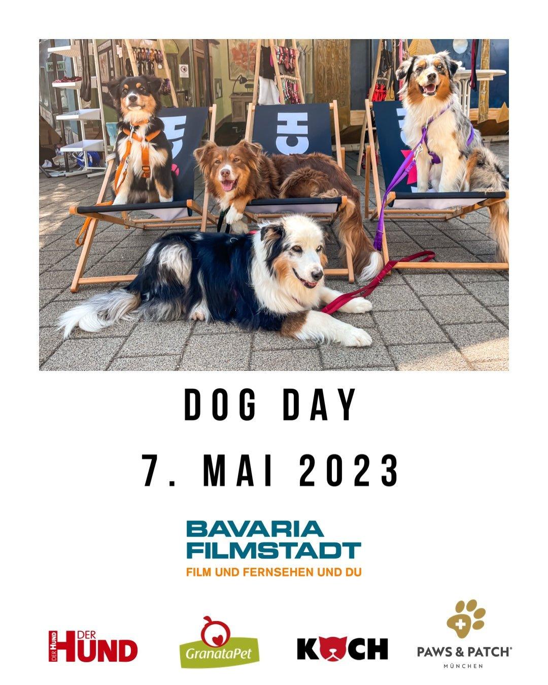 DOG DAY 2023 IN DER BAVARIA FILMSTADT | KOCH